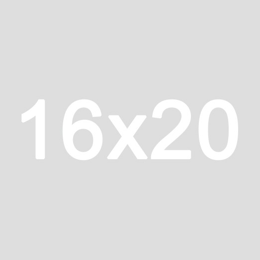 16x20 Canvas Hanging Print